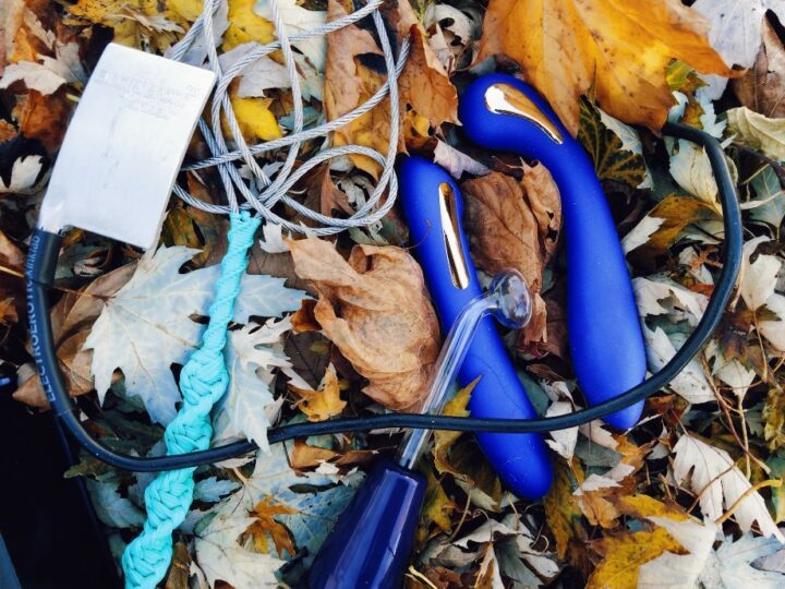 Review: Zeus Twilight Violet Wand & Cal Ex Impulse Petite - Super Smash ...